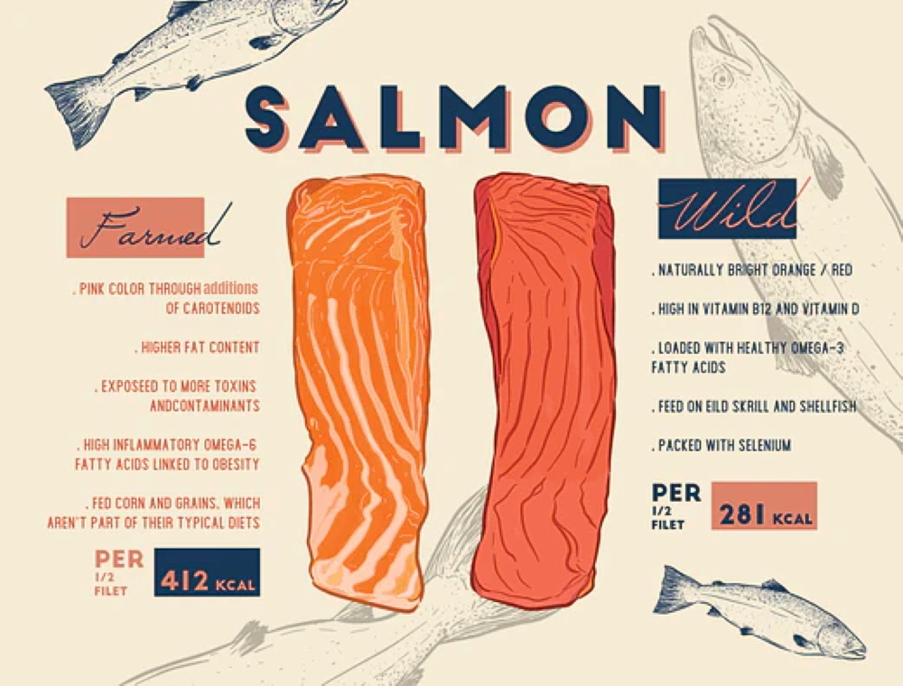 Wild Caught Salmon Vs Farm Raised Salmon Which Is Better Wild For